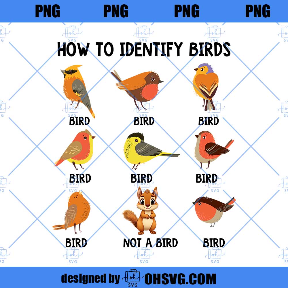 How To Identify A Bird Funny Birds Lover Nature Birdwatcher PNG – ohsvg