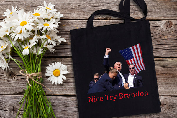 Nice Try Brandon Donald Trump PNG, Donald Trump PNG, Make America Grea ...